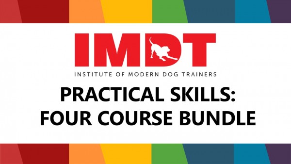 PRACTICAL SKILLS - 4 COURSE BUNDLE